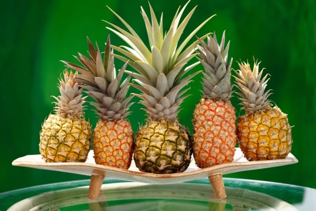 11 Pineapple Benefits and 4 Side Effects (+ Nutrition Facts)